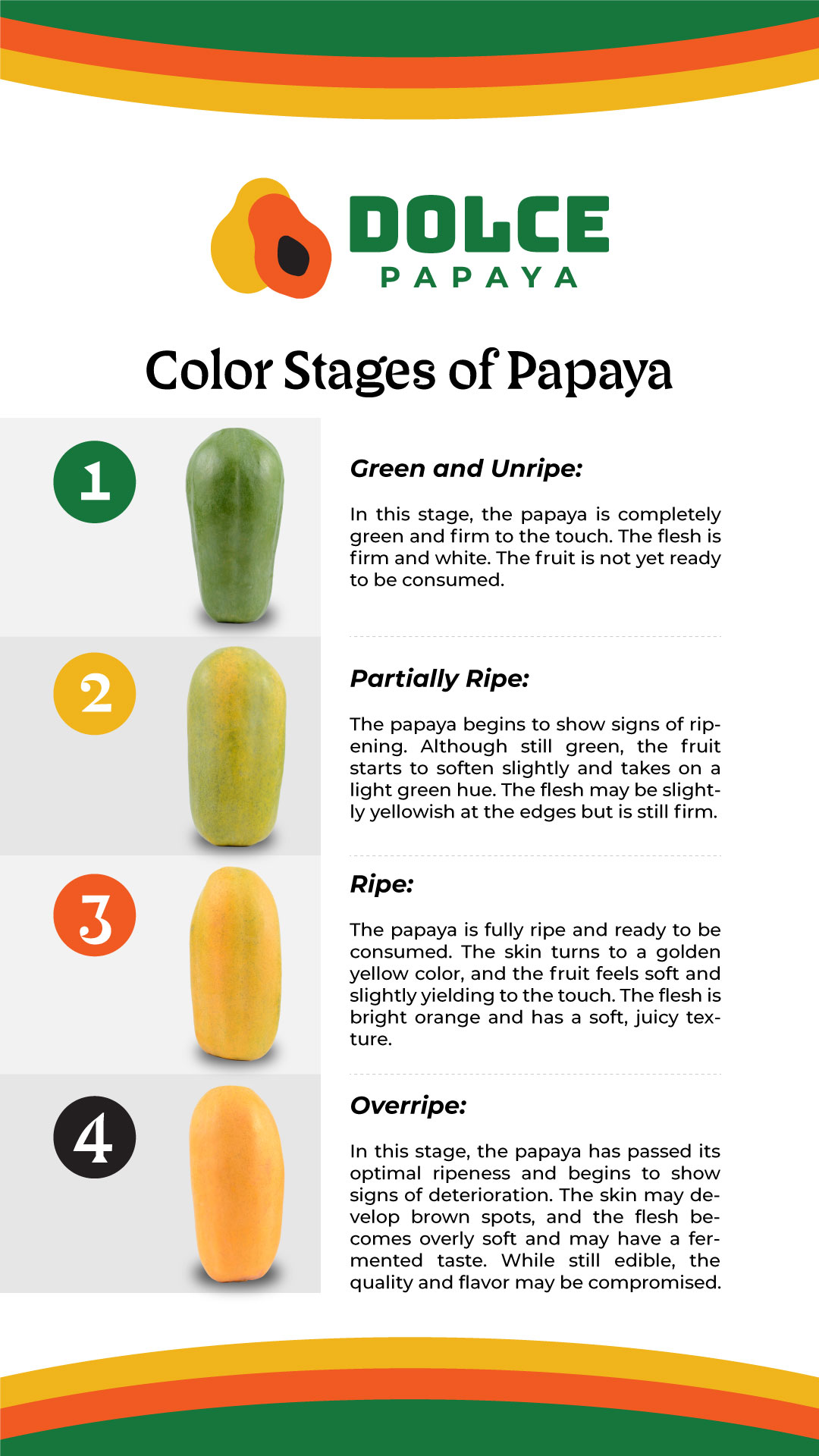 Agrosons | Your Source for Premium Papayas in NYC